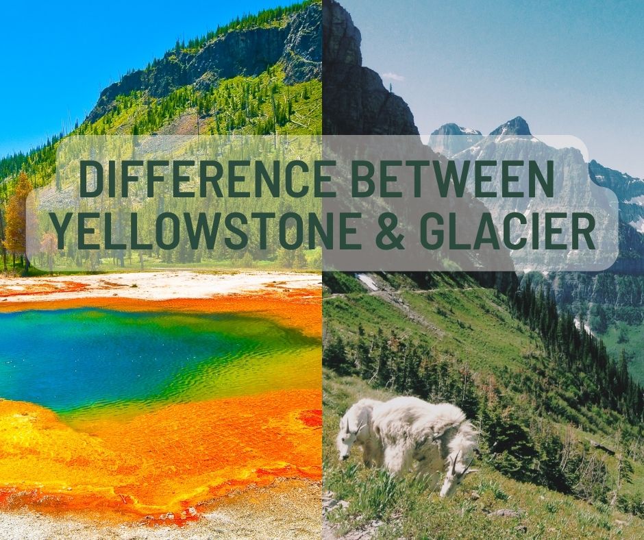 What's The Difference Between Yellowstone & Glacier