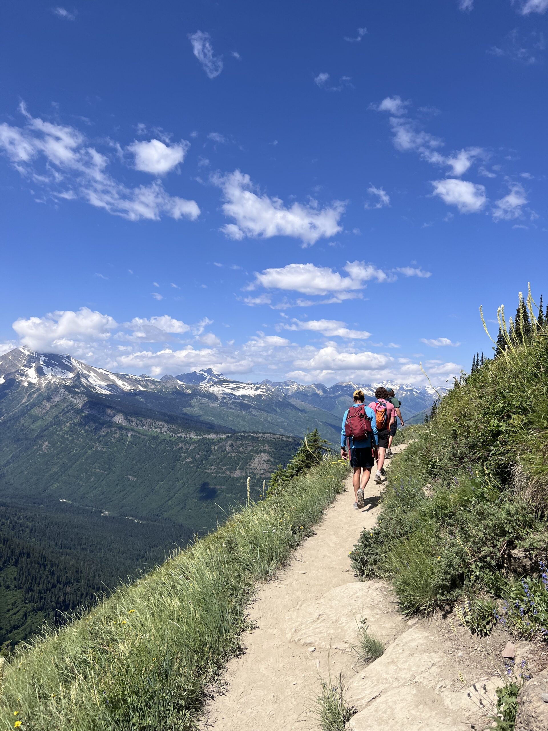 Private Guided Hiking in Glacier National Park