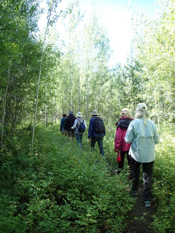 Nature Walk & Float Glacier National Park