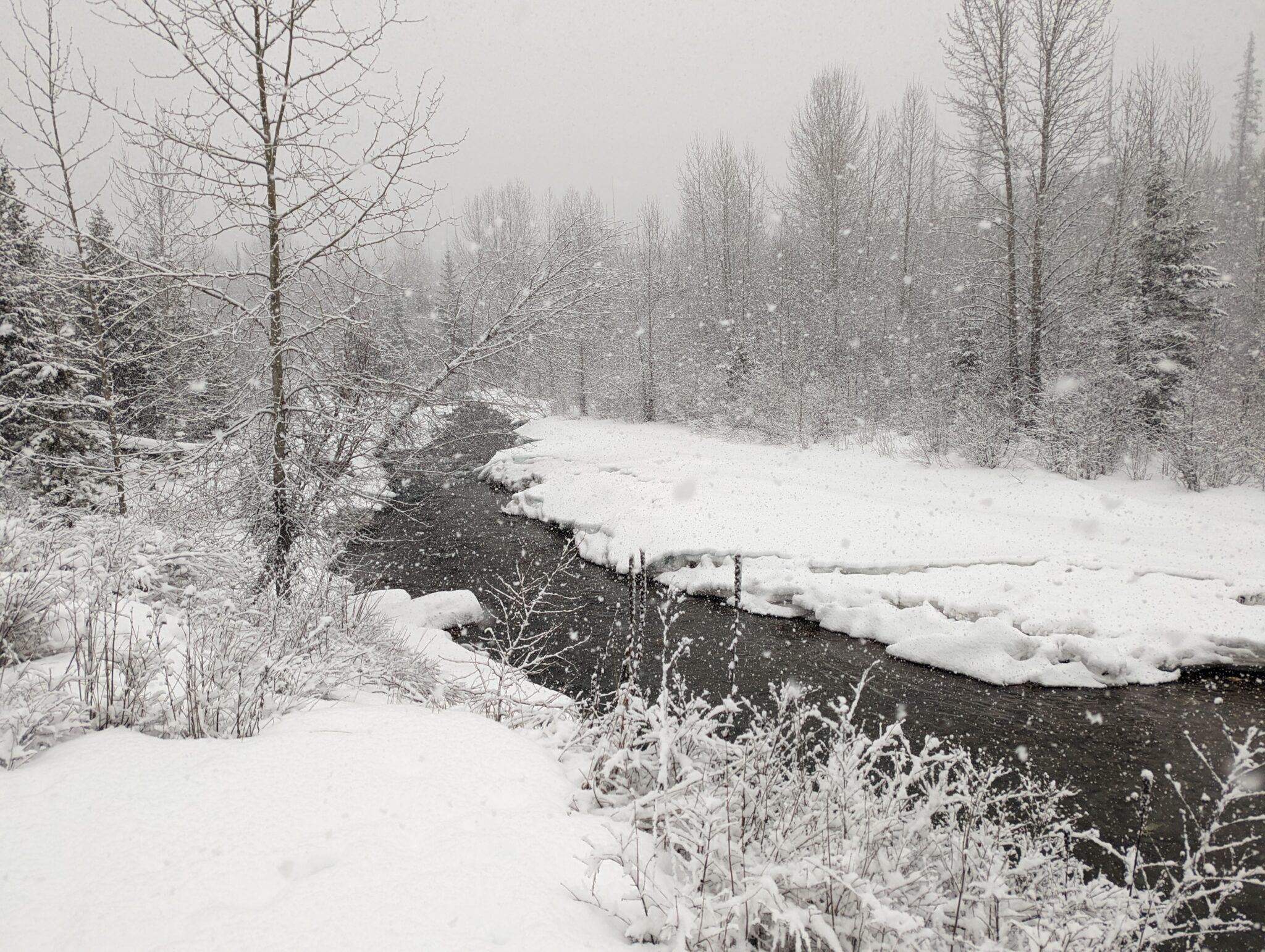 Winter in Glacier National Park - Bowman Lake